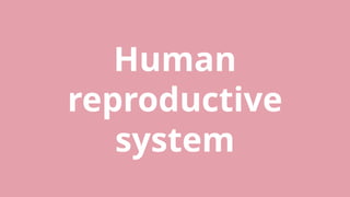 THE REPRODUCTIVE SYSTEM SCIENCE PPT GRADE V | PPTX