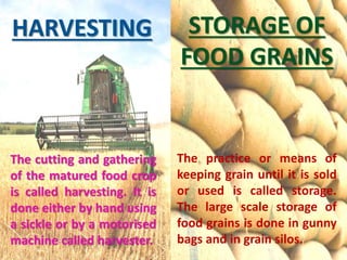 crop production and management class 8 science | PPTX