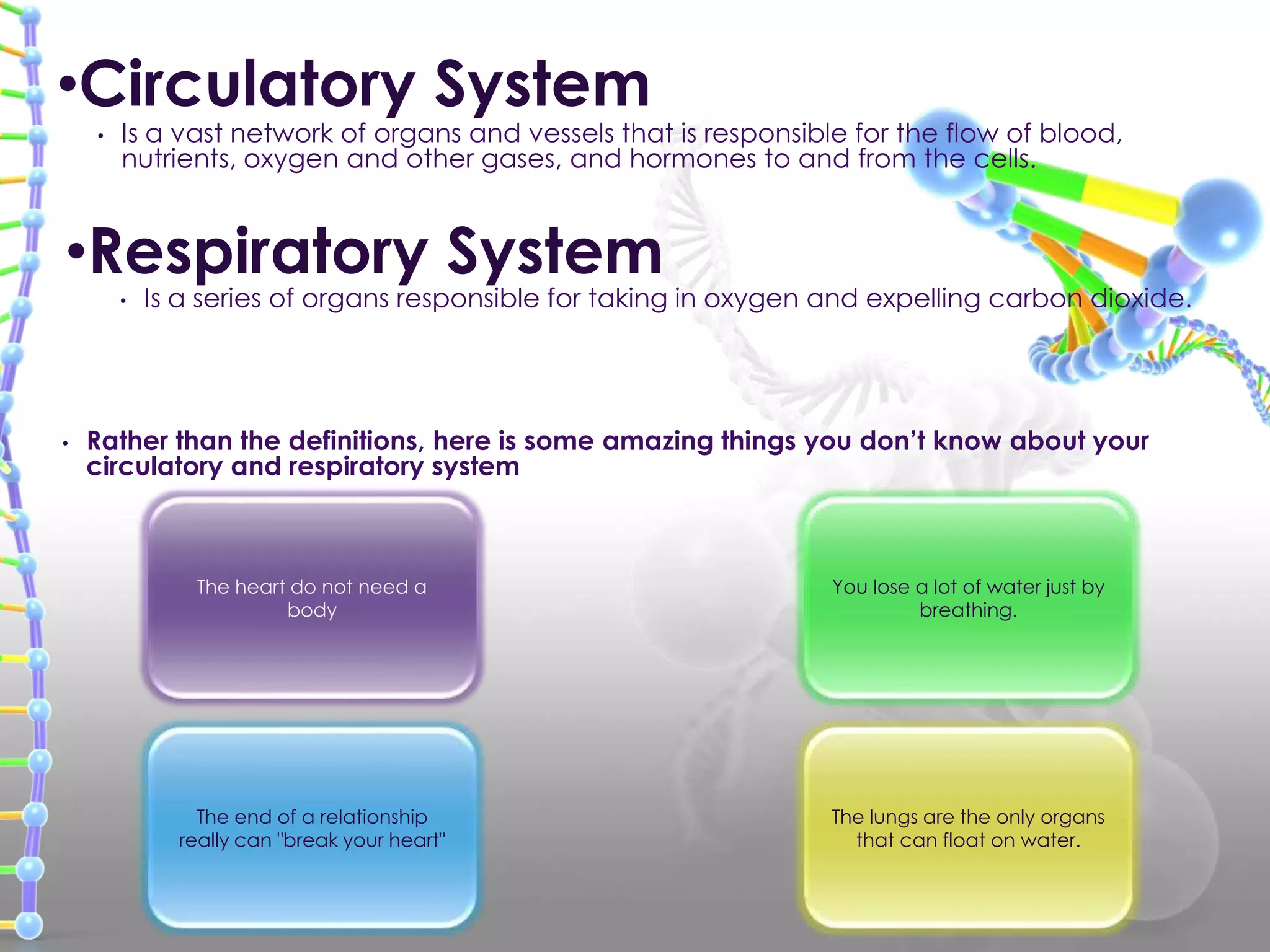 A Good Circulatory And Respiratory System | PPTX