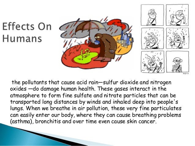 Acid Rain Effects On Humans Lungs