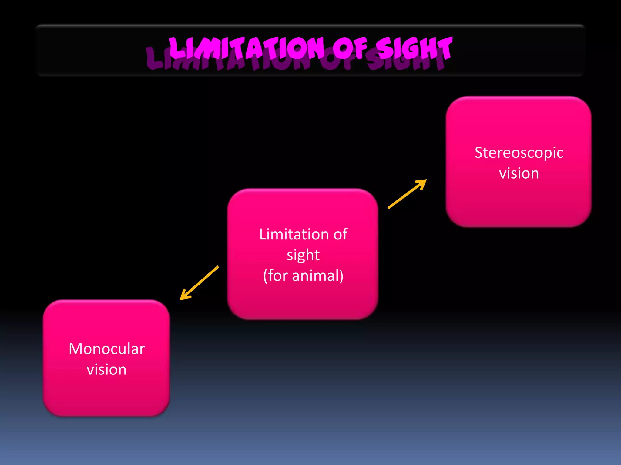 Limitation of sight and hearing | PPTX