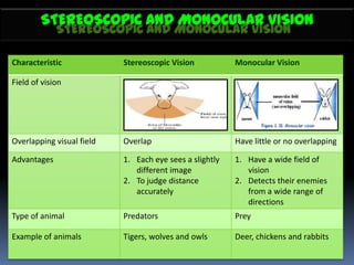 Limitation of sight and hearing | PPTX