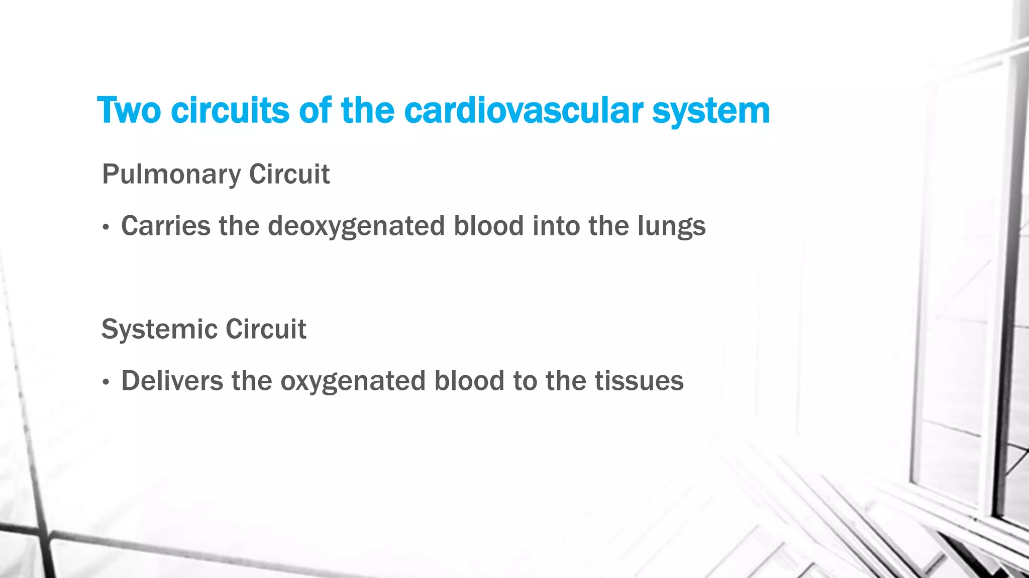 Respiratory System and Circulatory System | PPTX | Heart and ...