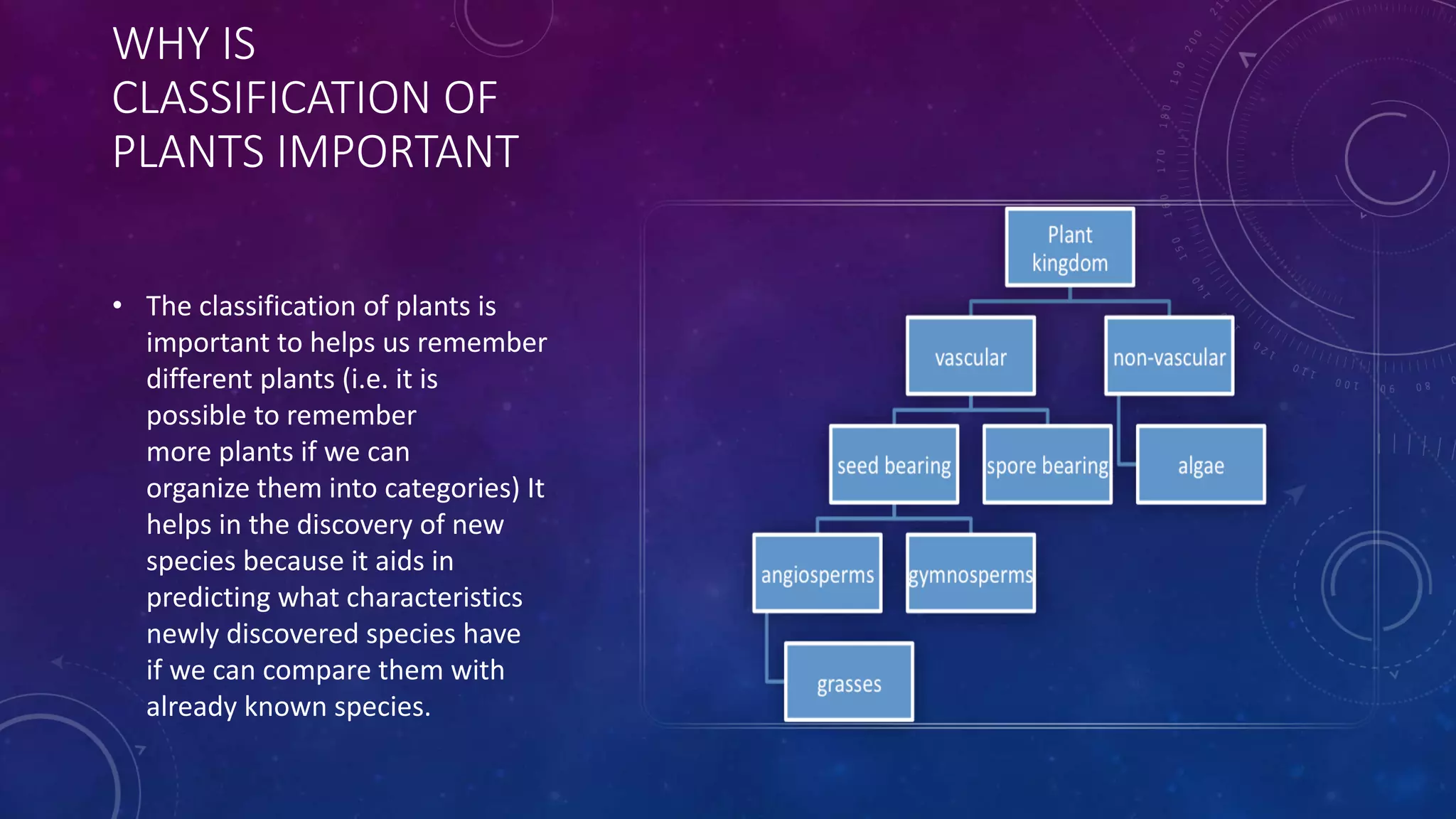 Classifying plants and animals | PPTX