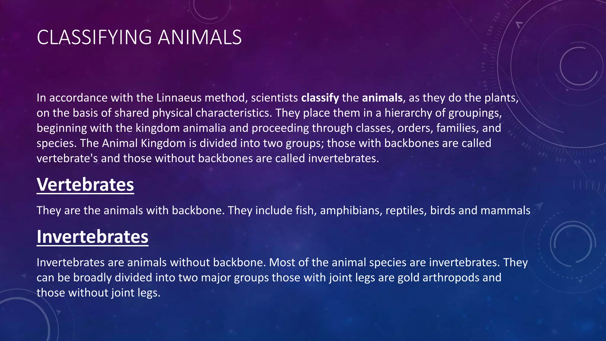 Classifying plants and animals | PPTX