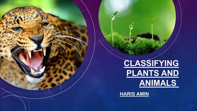 Classifying plants and animals | PPTX | Gardening | Home & Garden