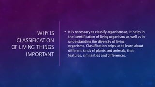 Classifying plants and animals | PPTX