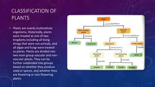 Classifying plants and animals | PPTX