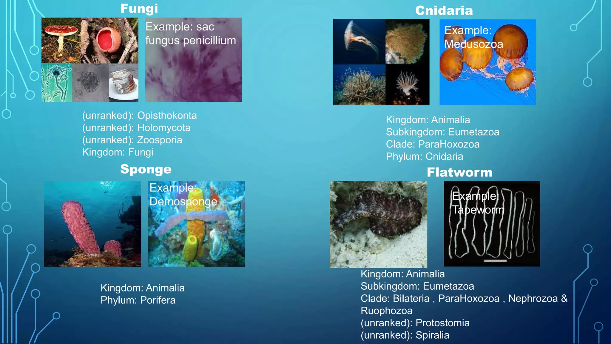 SCIENCE Presentation.pptx