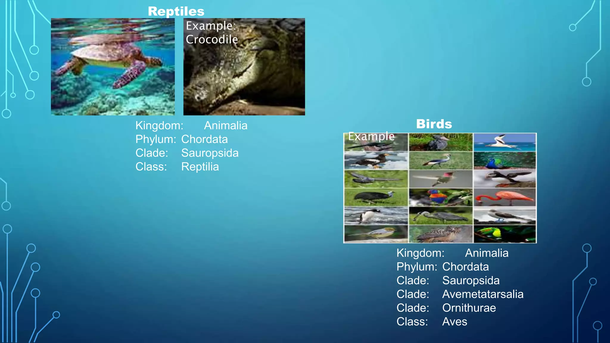 SCIENCE Presentation.pptx