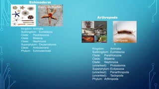 SCIENCE Presentation.pptx
