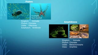 SCIENCE Presentation.pptx