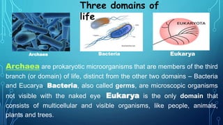 SCIENCE Presentation.pptx