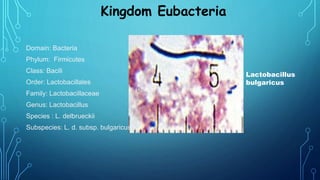 SCIENCE Presentation.pptx