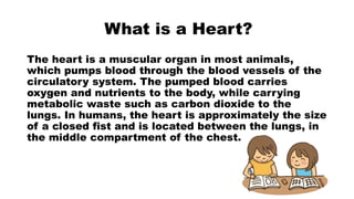 Science Presentation about Heart | PPTX | Heart and Cardiovascular ...