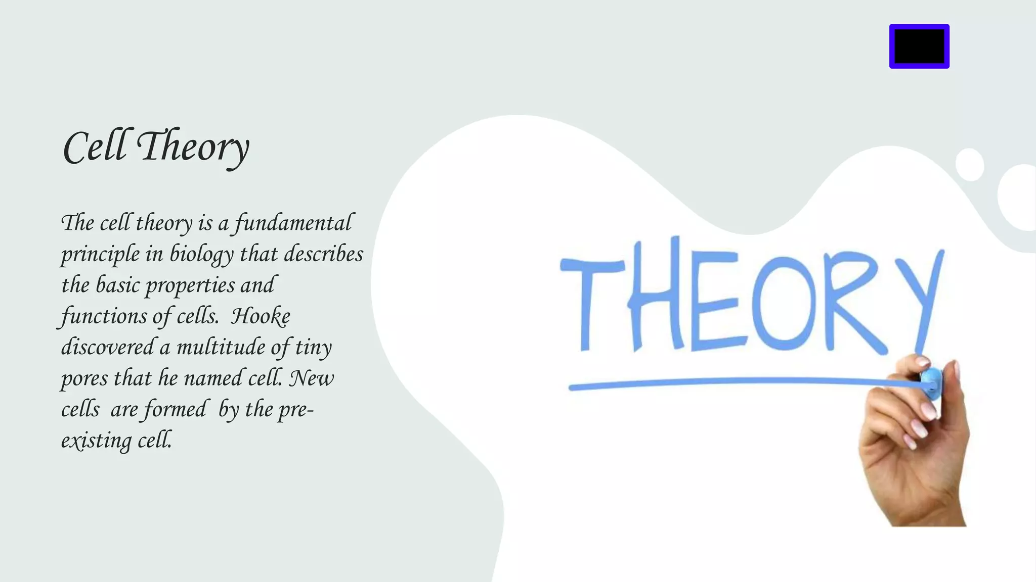 The Cell Presentation for Grade 7 | PPTX