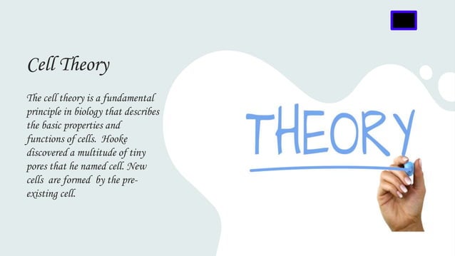 The Cell Presentation for Grade 7 | PPTX | Biological Sciences | Science