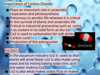 Science Presentation ( pg 202 activity 7.2 ).pptx