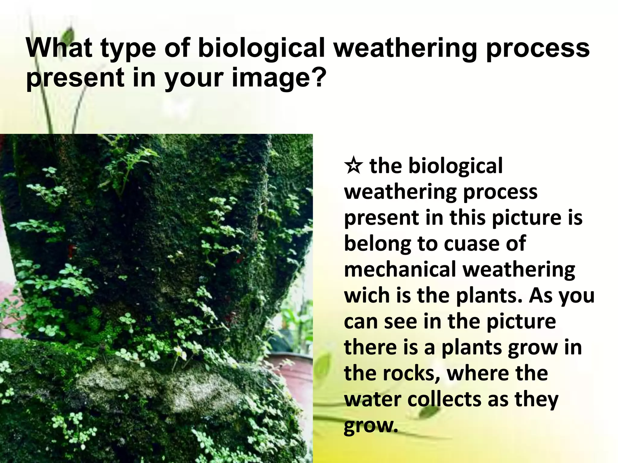 science present today.pptx