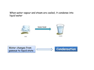 Science primary 4: Changing State of Water | PDF