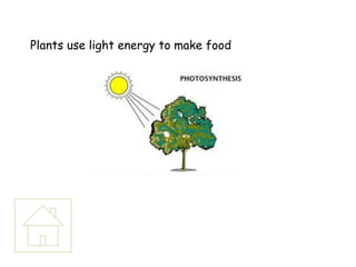 Science primary 6; Energy | PDF