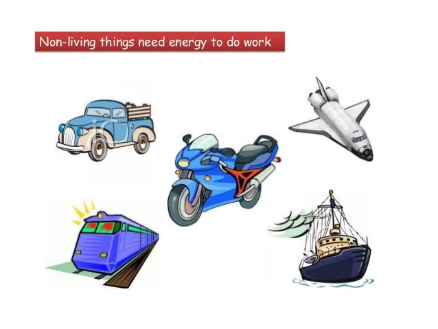 Science primary 6; Energy