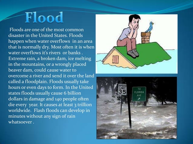 Science prjt 3 | PPT