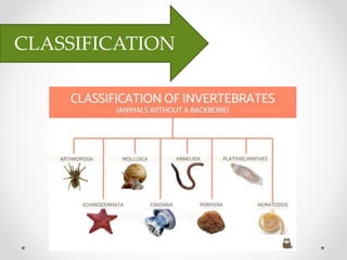 Science process skills | PPTX