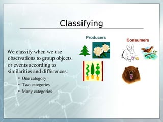 Science Process Skills.ppt