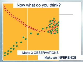 Science Process Skills.ppt