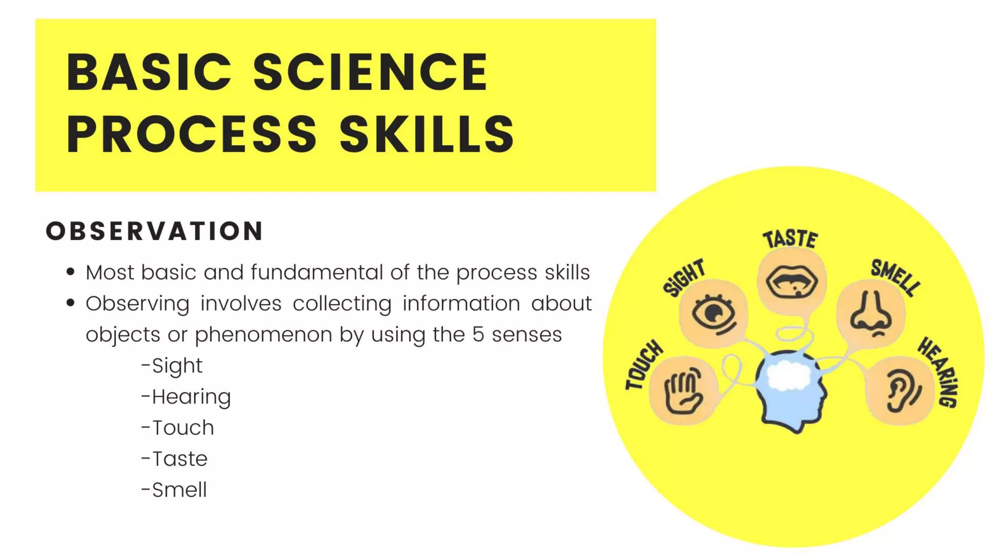 Science process skills by elina and visi | PPTX | Physics | Science