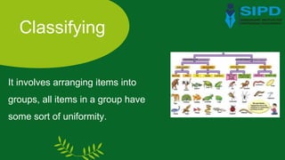 Science process skills that work | PPTX