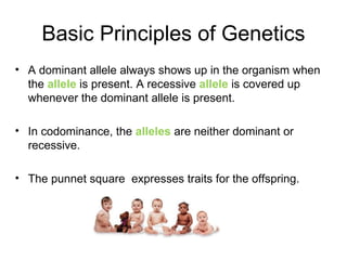 Science project | PPT | Reproductive Health | Diseases and Conditions