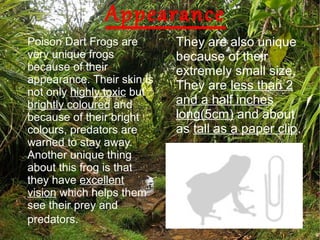 Poison Dart Frog- Science Project | ODP | Zoos & Aquariums | Attractions