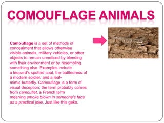 Science project | PPTX