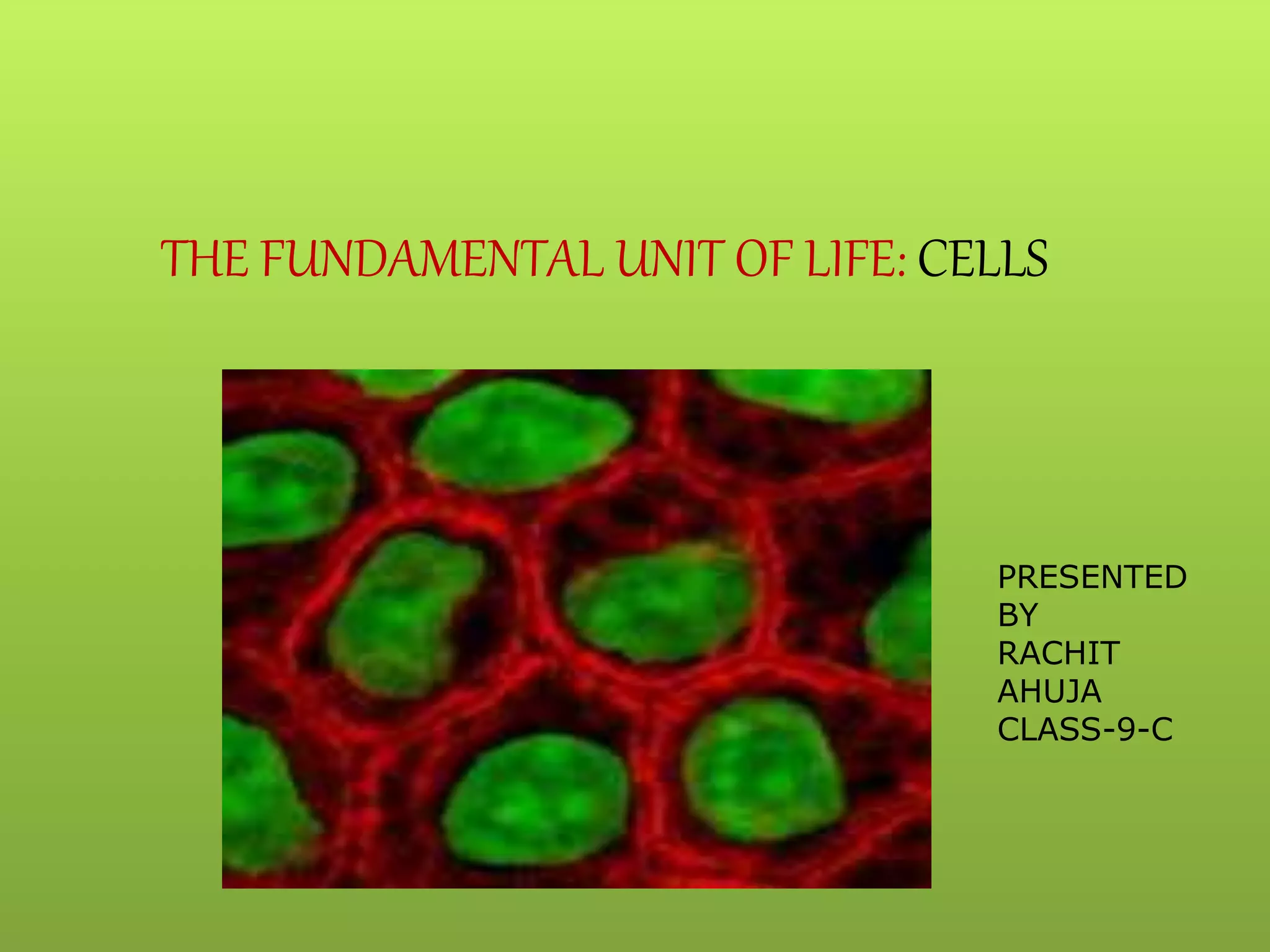 fundamental unit of life :cell | PPT | Biological Sciences | Science
