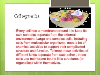 fundamental unit of life :cell | PPT