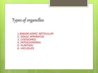 fundamental unit of life :cell | PPT