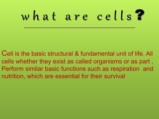 fundamental unit of life :cell | PPT