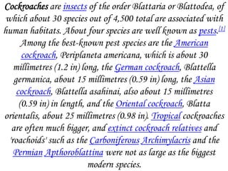 Science project | PPT