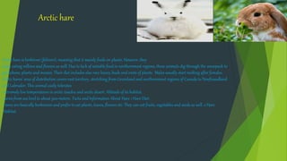 ANIMALS NCERT PPT | PPT