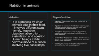 Nutrition in animals and plants | PPTX