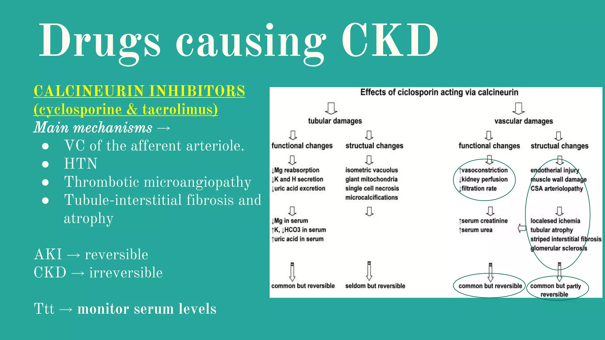 Drug induced nephrotoxicity | PPTX