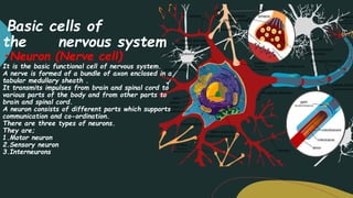 science project.pptx