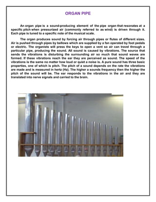 Science Project.pdf