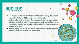 Cell Structure and Function.pdf