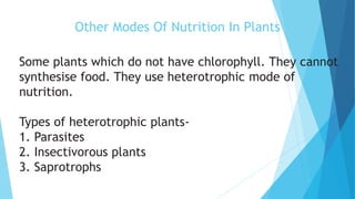 Science project.pptx