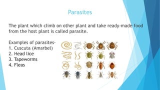 Science project.pptx