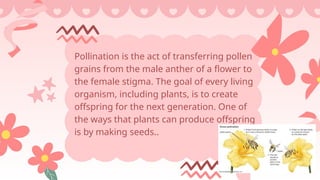 science project.grade5.ppt for primar 5 cambridge | PPTX