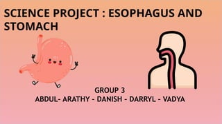 Science Project - Human Digestive System | PPTX